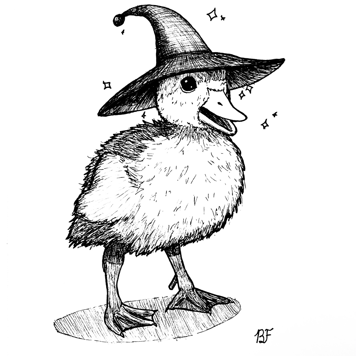 Wizard Animals – Brilynne Funderburg